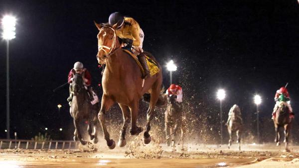 2024 Remington Springboard Mile at a Glance | America's Best Racing