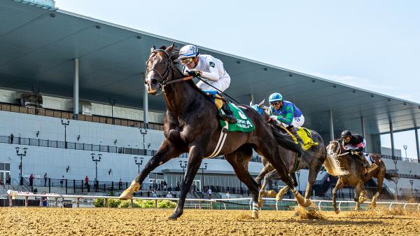 Mullikin Capable of Rebounding Back to His Best in Cigar Mile Handicap ...