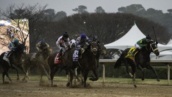 An Eye-Opening $152 Upset Winner in the Rebel Stakes | America's Best ...