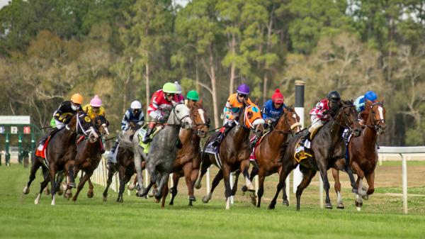 Can Twitch Help Revolutionize Horse Racing? | America's Best Racing