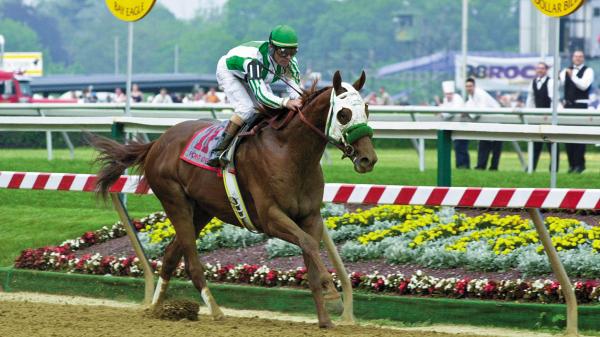 Point Given: A Sight to Behold | America's Best Racing