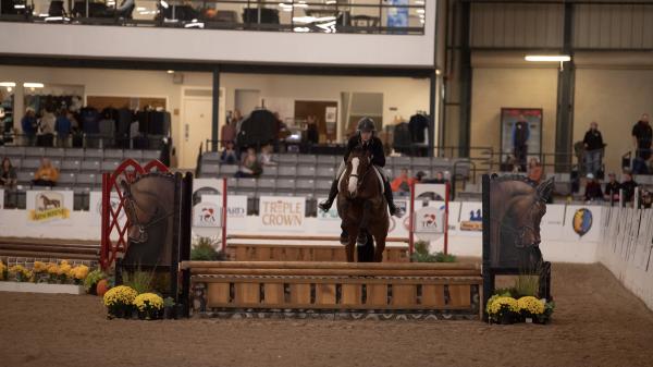 Thoroughbred Incentive Program Announces Winners of 2024 Performance ...
