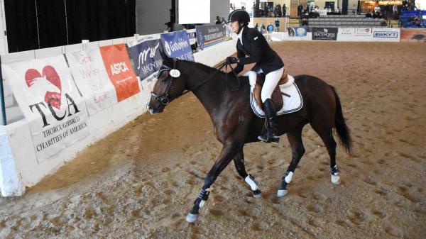 Applications for 2023 Thoroughbred Makeover Open for Submission ...