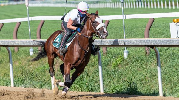 Jack Knowlton Diary: ‘Machine-like’ Tiz the Law Terrific Entering ...