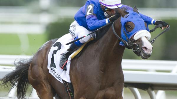 Betting the Soaring Free Stakes on a Budget | America's Best Racing