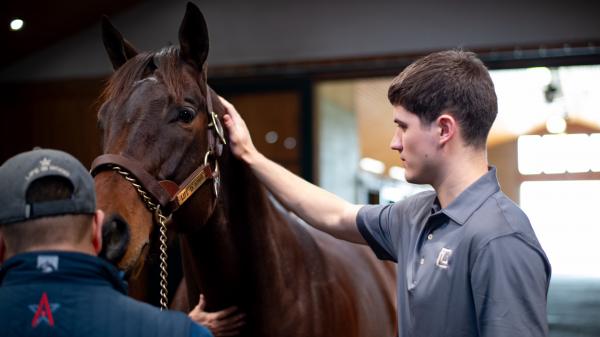WinStar Farm Teams With University of Kentucky’s Reed Sheppard to ...