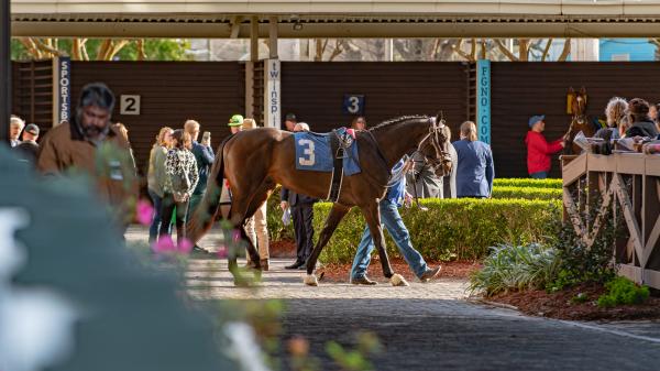 2023 Gun Runner Stakes at a Glance | America's Best Racing