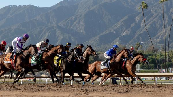 Santa Anita Park Gambling Tips and Trends: Do Great at ‘The Great Race ...