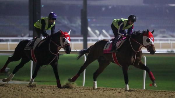 2024 United Arab Emirates Derby at a Glance | America's Best Racing