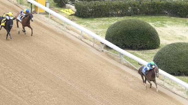 How a $1 Purchase Started Robert and Stacy Mitchell on Path to Arkansas ...