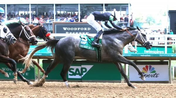 Seize the Grey Strikes in Pat Day Mile, Preakness Could Be Next ...