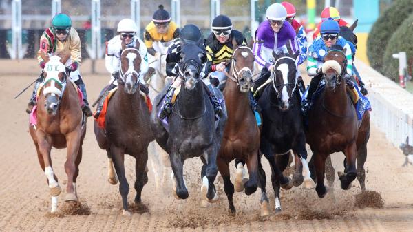 Byron King’s Derby Dozen for Jan. 29 | America's Best Racing