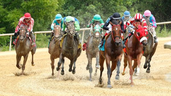 Virginia Derby Added to Road to the Kentucky Derby for 2025 | America's ...