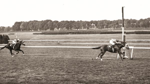 Secretariat Shatters Course Record in First Try on Turf in 1973 Man o ...