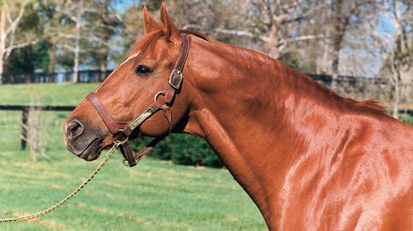 The Return of ‘Big Red’ | America's Best Racing