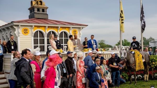 Thanks to Seize the Grey, MyRacehorse Now More Popular Than Ever ...