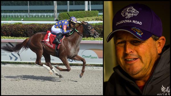 Trainer Ralph Nicks Talks Travers, Shivaree’s Development, Kentucky ...