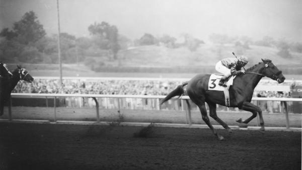 What’s in a (Race) Name? The Stunning Rallies of Silky Sullivan ...