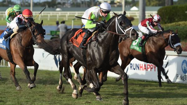 Looking for Value in a Competitive Sunshine Forever Stakes | America's ...