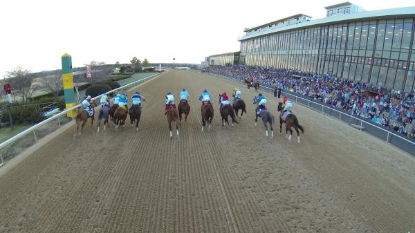 2025 Southwest Stakes at a Glance | America's Best Racing