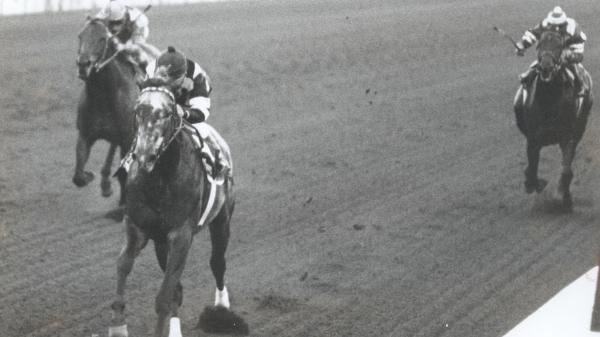 Six Memorable Runnings of the Malibu Stakes | America's Best Racing