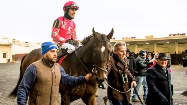 Trainer Danny Gargan on Tax: From Claimer to Kentucky Derby Hopeful ...