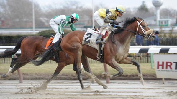 Predicteform.com’s Upset Watch: Withers Stakes | America's Best Racing