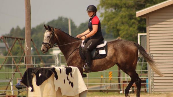 Earning a Ribbon in Trail Class, More Valuable Experiences with Dom ...