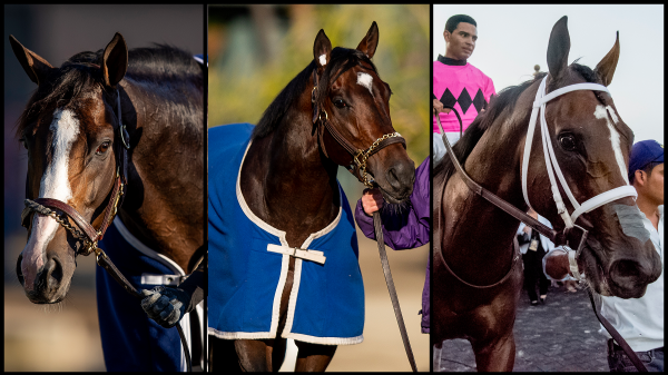 Eclipse Awards Finalists Revealed, Led by Horse of the Year Candidates ...
