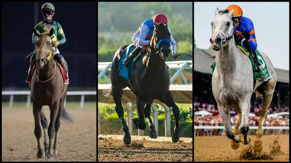 2023 Breeders’ Cup Classic Cheat Sheet: Get to Know the Horses ...