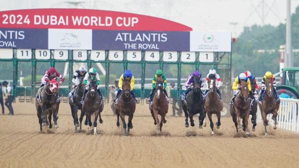 2025 United Arab Emirates Derby at a Glance | America's Best Racing