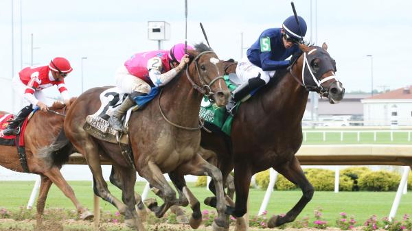 Verifying Holds Off Raise Cain to Win Indiana Derby By a Nose | America ...