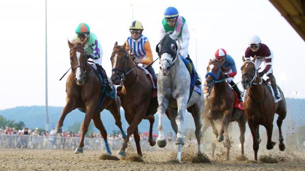 2024 Pennsylvania Derby at a Glance | America's Best Racing