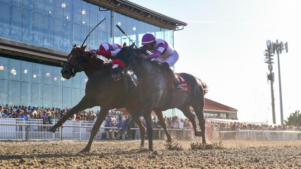 Louisiana Derby Win Propels Rising Market in Newest Kentucky Derby ...