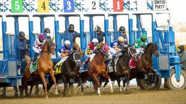 Princess Mayfair Can Pull Off Upset in Busanda Stakes | America's Best ...