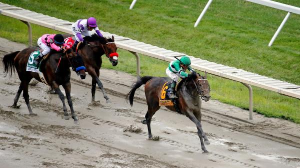 Using History as a Guide to Betting the Haskell | America's Best Racing