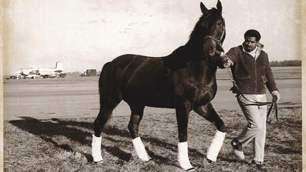 Ack Ack: A Versatile, Determined Racehorse With an Air of ‘No Surrender ...