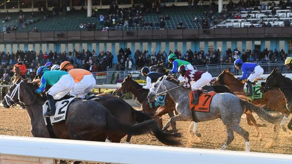 Best Bets: Withers Stakes Standout, Tampa Longshot | America's Best Racing
