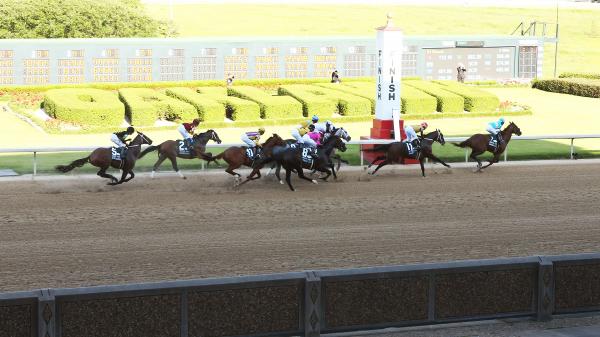 Looking Back on a Spring Meet Like No Other at Oaklawn Park | America's ...