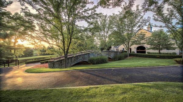 Visit Horse Country: Coolmore America’s Global Reach | America's Best ...