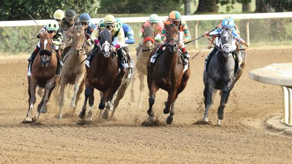 Miss Speedy Can Live Up to Her Name and Post Upset in Raven Run ...