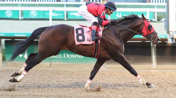 Meet Beverly Park, the Winningest Racehorse of 2022 | America's Best Racing