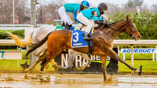 Brooklyn Strong Wins Remsen, Earns Kentucky Derby Points | America's ...