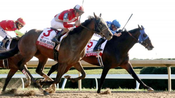 Power Rankings: Burnham Square Moves Into Top 10, Kentucky Derby is ...
