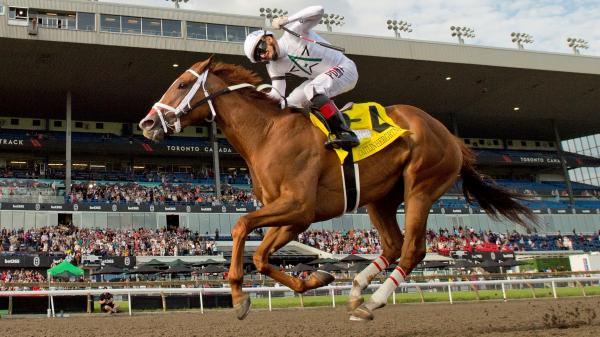 anna clark equestrian