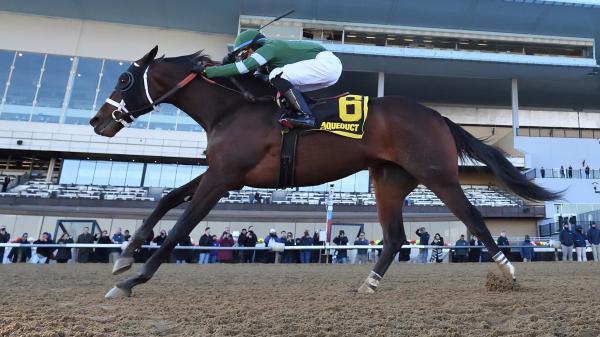 2025 Kentucky Derby Prospect Profiles: Withers Stakes Winner Captain ...