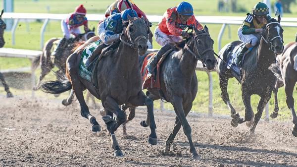 2024 Kentucky Derby Data: How Fast This Year’s Contenders Finished ...