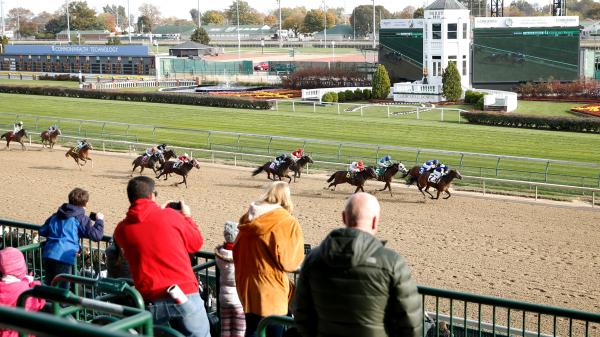 Looking Beyond the Favorite in Falls City Stakes on Thanksgiving at ...