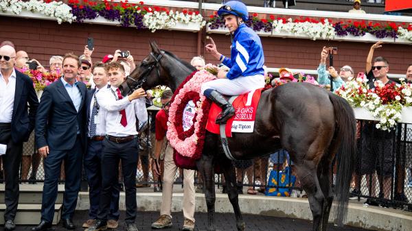 Godolphin Gets Fourth Consecutive Leading Breeder Earnings Title in ...