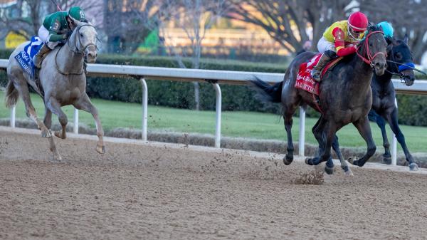Coal Battle Continues to Prove Himself With Valiant Rebel Stakes Win ...